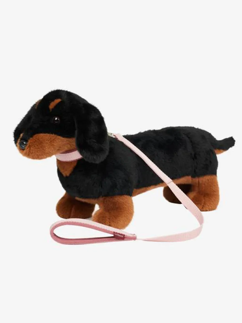 Toy dog collar and lead store